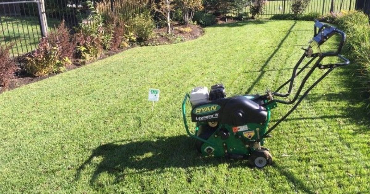 When to Aerate and Overseed Your Lawn for Best Results