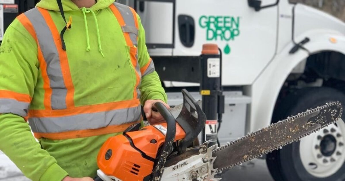 Tree Topping vs. Crown Reduction: Our Arborist Weighs In