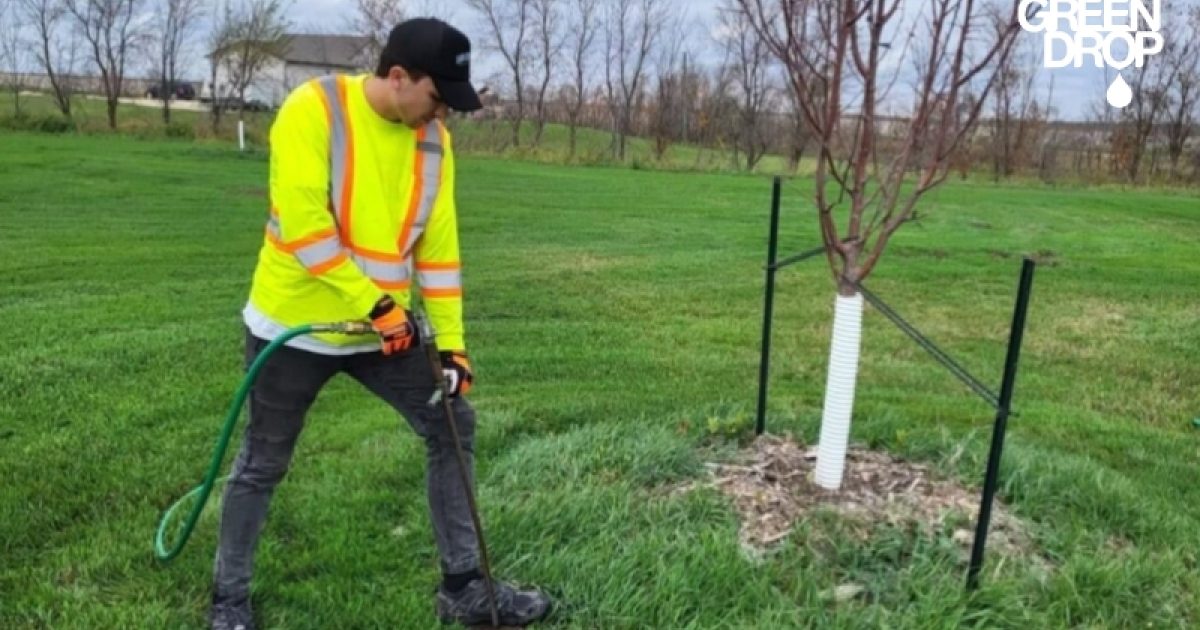 Boost Tree Health with Deep Root Fertilization in Edmonton