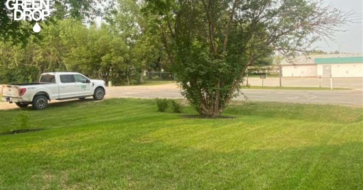 What Do I Have to Do Before & After A Green Drop Visit?