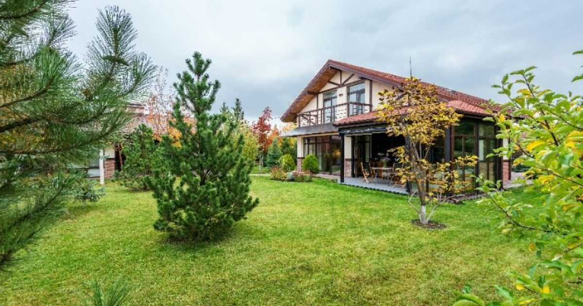 Planting Trees in Edmonton - Best Trees and Shrubs to Grow