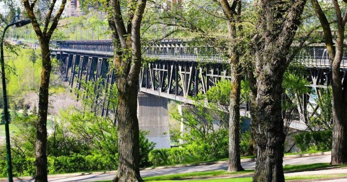 Urban Tree Planting Guide for Western Canada Cities