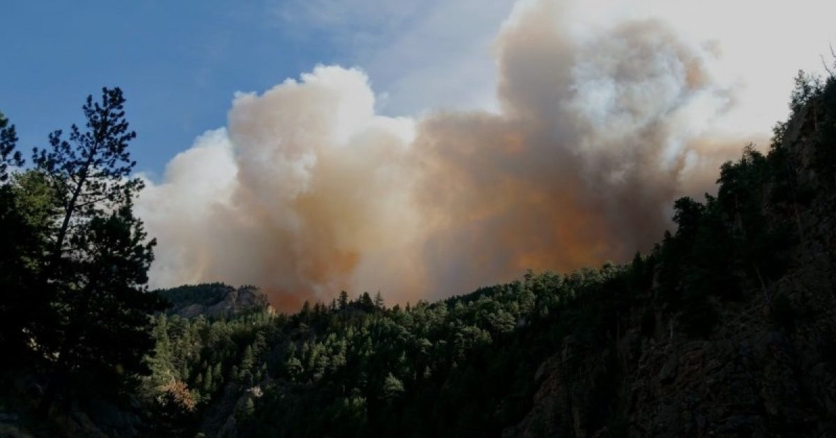 Reduce Wildfire Risk with Smart Vegetation Management