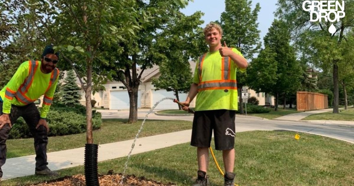 Water Restrictions in Calgary -What It Means For Your Trees?