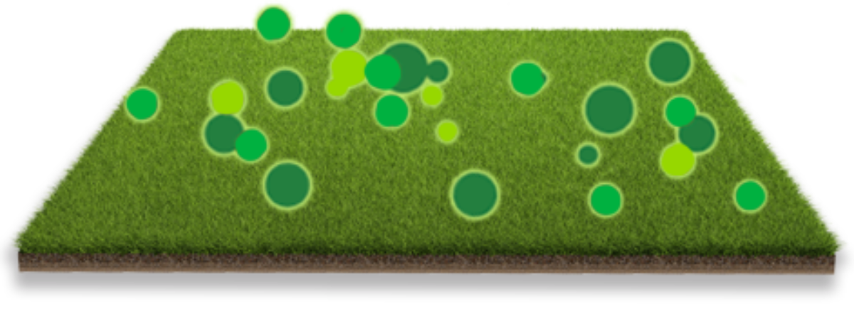 New & Improved Fertilization Programs | Green Drop