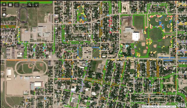 Tree Inventory Management & Forest Surveys - Municipal Tree Care ...